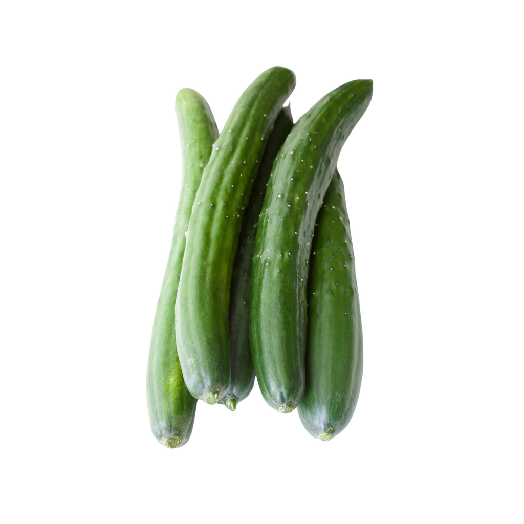 Concombre - خيار – Takhdart